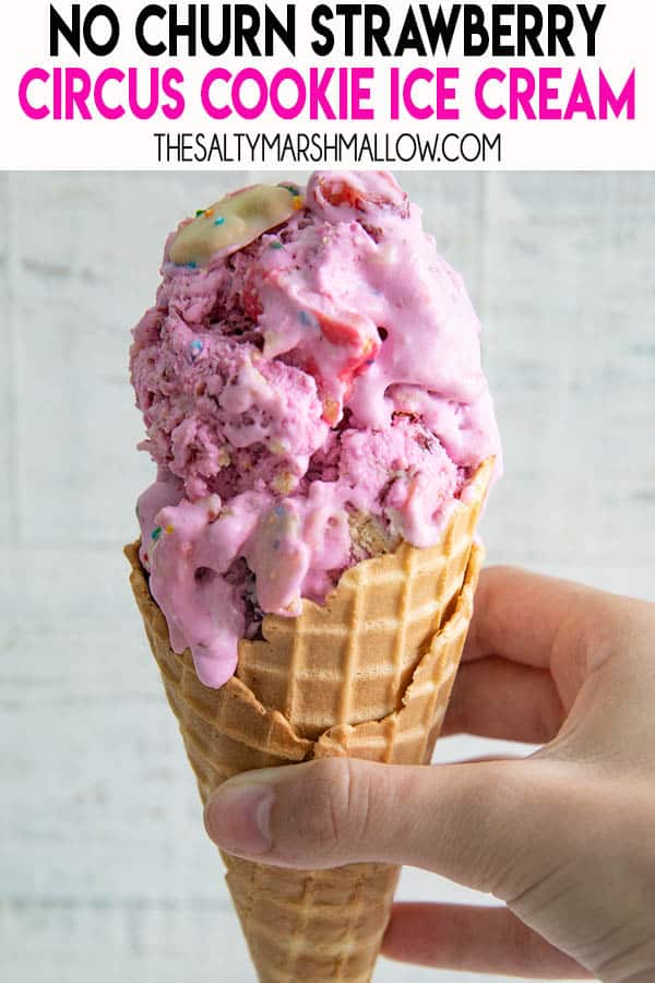 No Churn Circus Cookie Ice Cream - The Salty Marshmallow