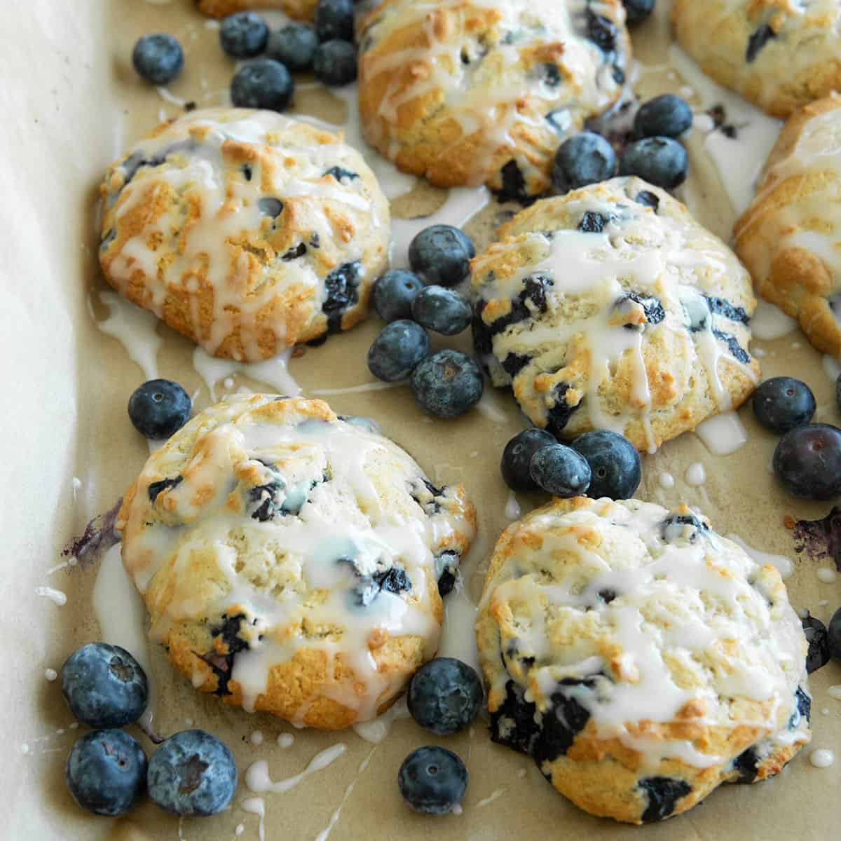 Blueberry Biscuits - The Salty Marshmallow